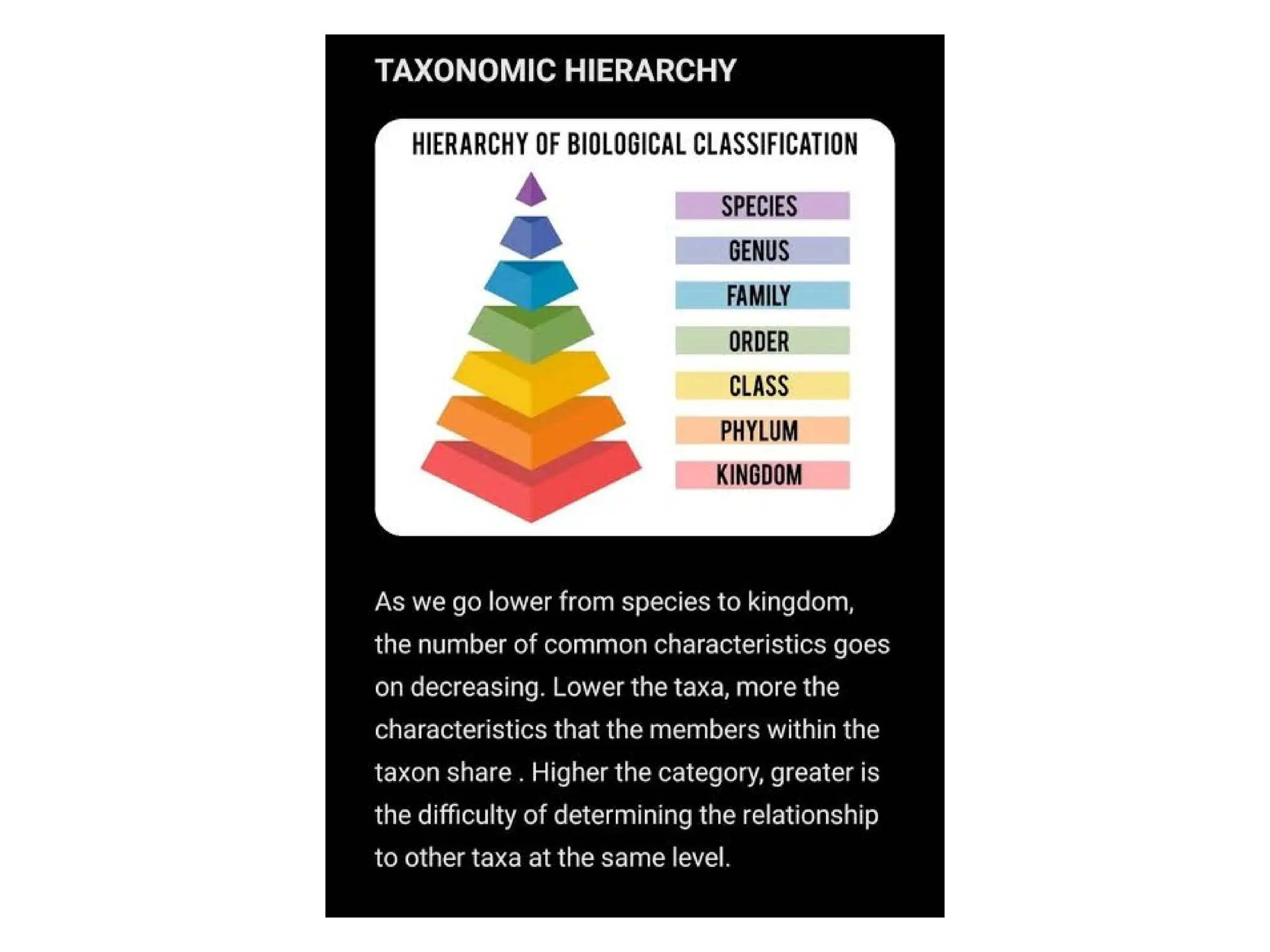 Taxonomy - diversity class 9, introduction to classification | PDF