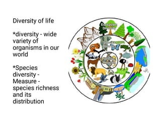 Taxonomy - diversity class 9, introduction to classification | PDF