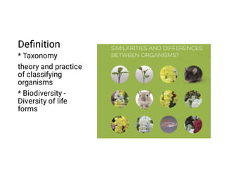 Taxonomy - diversity class 9, introduction to classification | PDF