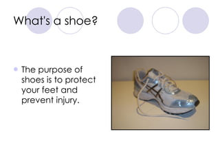 Taxonomy Presentation | PPT