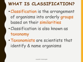 Taxonomy 2016 | PPTX | Biological Sciences | Science