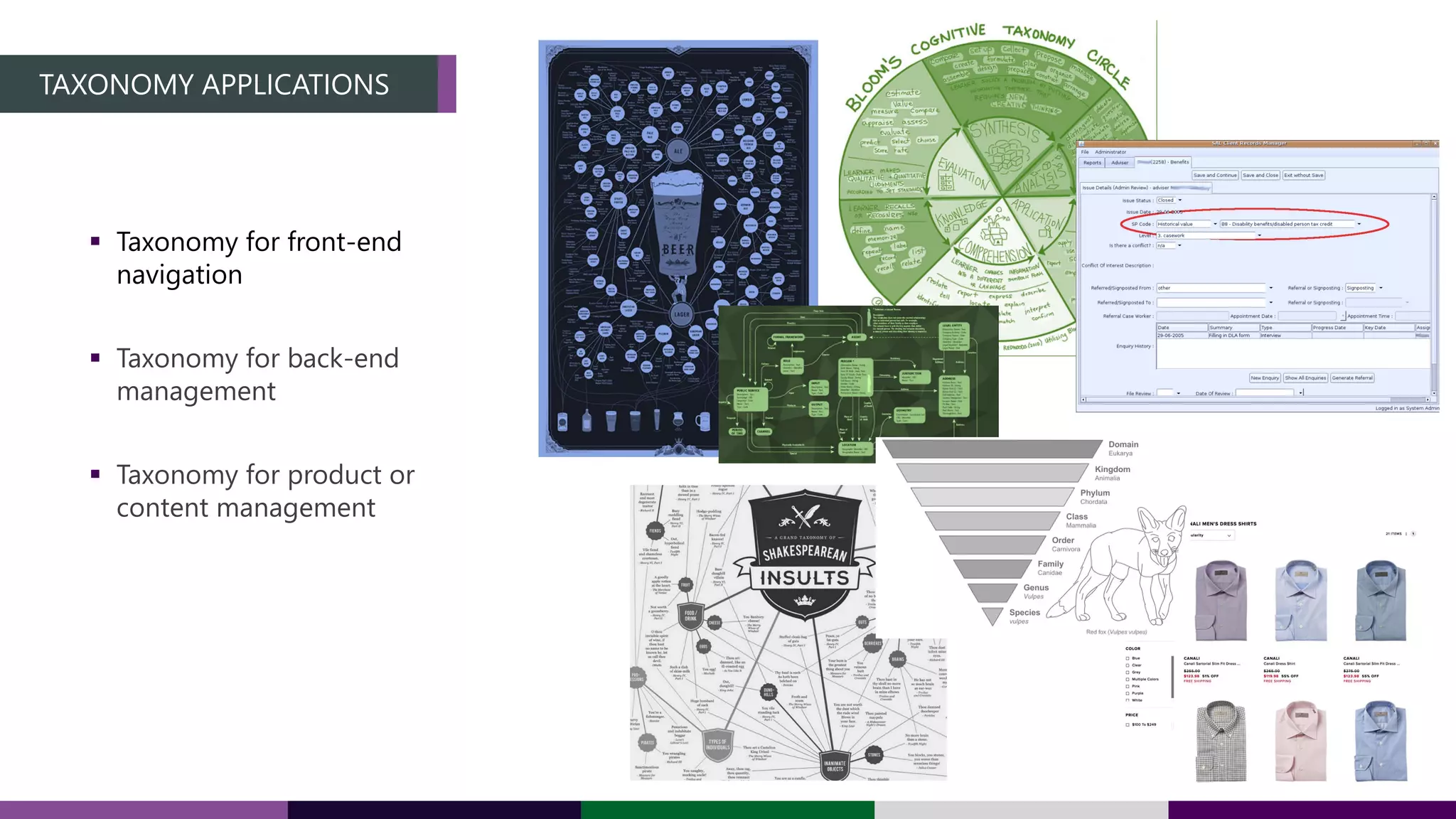 Taxonomy, Analytics, and Governance | PPT