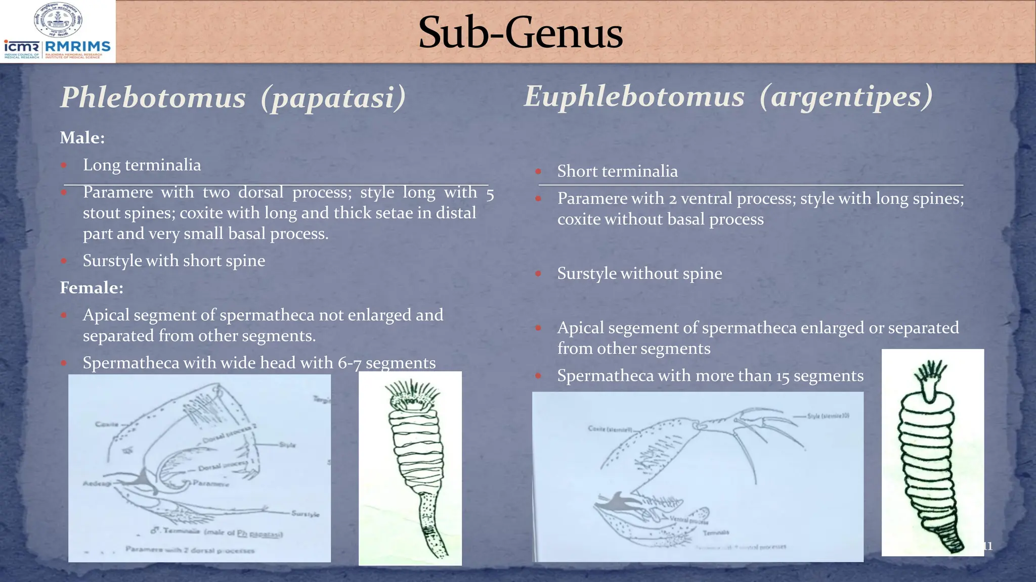 Taxonomy and Biodiversity of Sandfly in India By Rameshwari Ratna.pdf