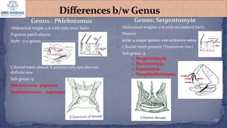 Taxonomy and Biodiversity of Sandfly in India By Rameshwari Ratna.pdf