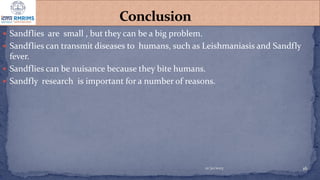 Taxonomy and Biodiversity of Sandfly in India By Rameshwari Ratna.pdf