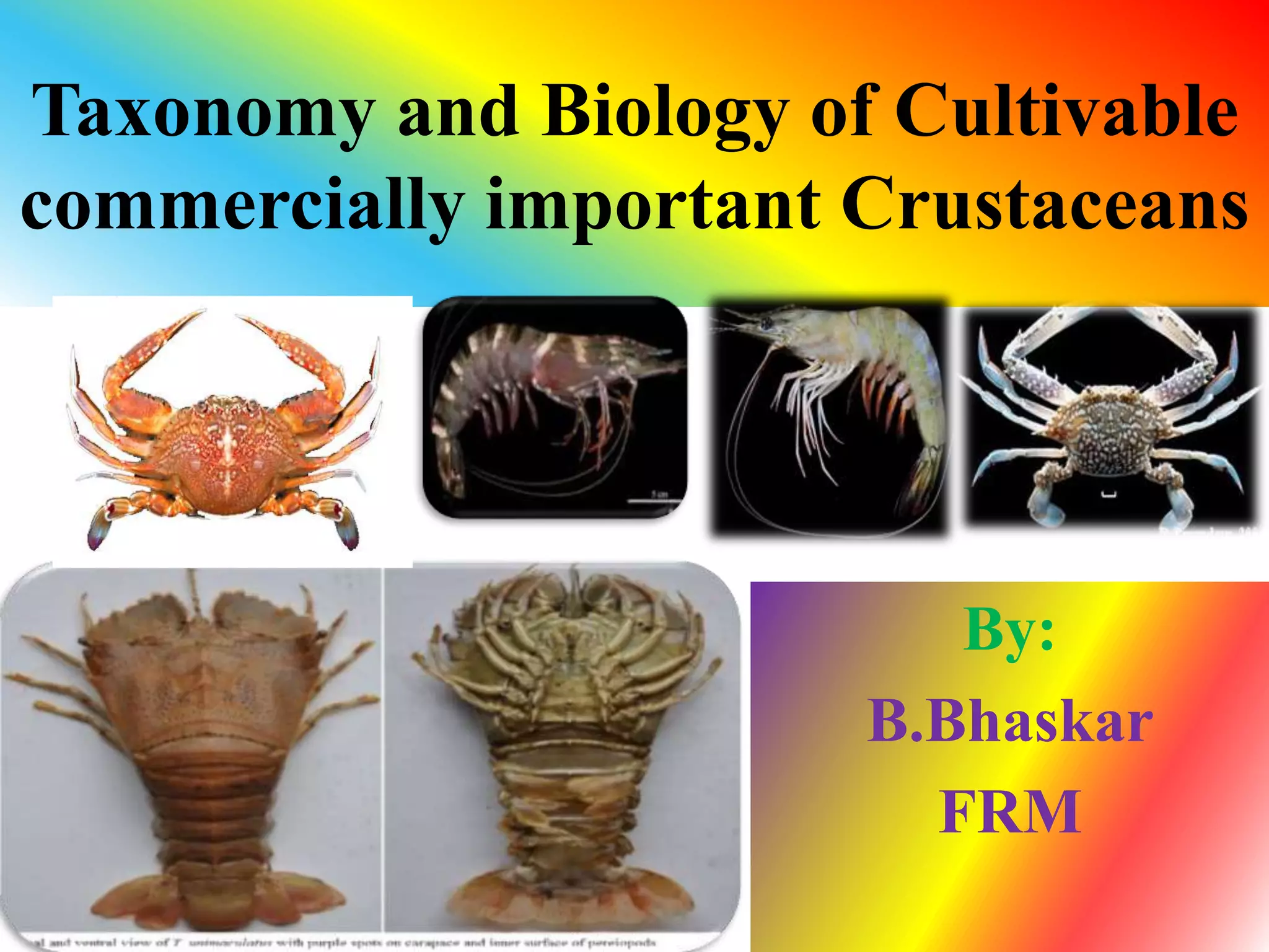 Taxonomy and Biology of Cultivable Crustaceans B.pptx
