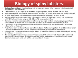 Taxonomy and Biology of Cultivable Crustaceans B.pptx