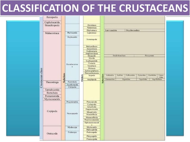 Taxonomy and Biology of Cultivable Crustaceans B.pptx