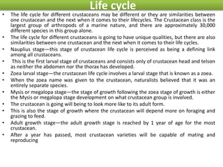 Taxonomy and Biology of Cultivable Crustaceans B.pptx