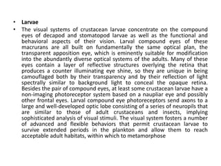Taxonomy and Biology of Cultivable Crustaceans B.pptx