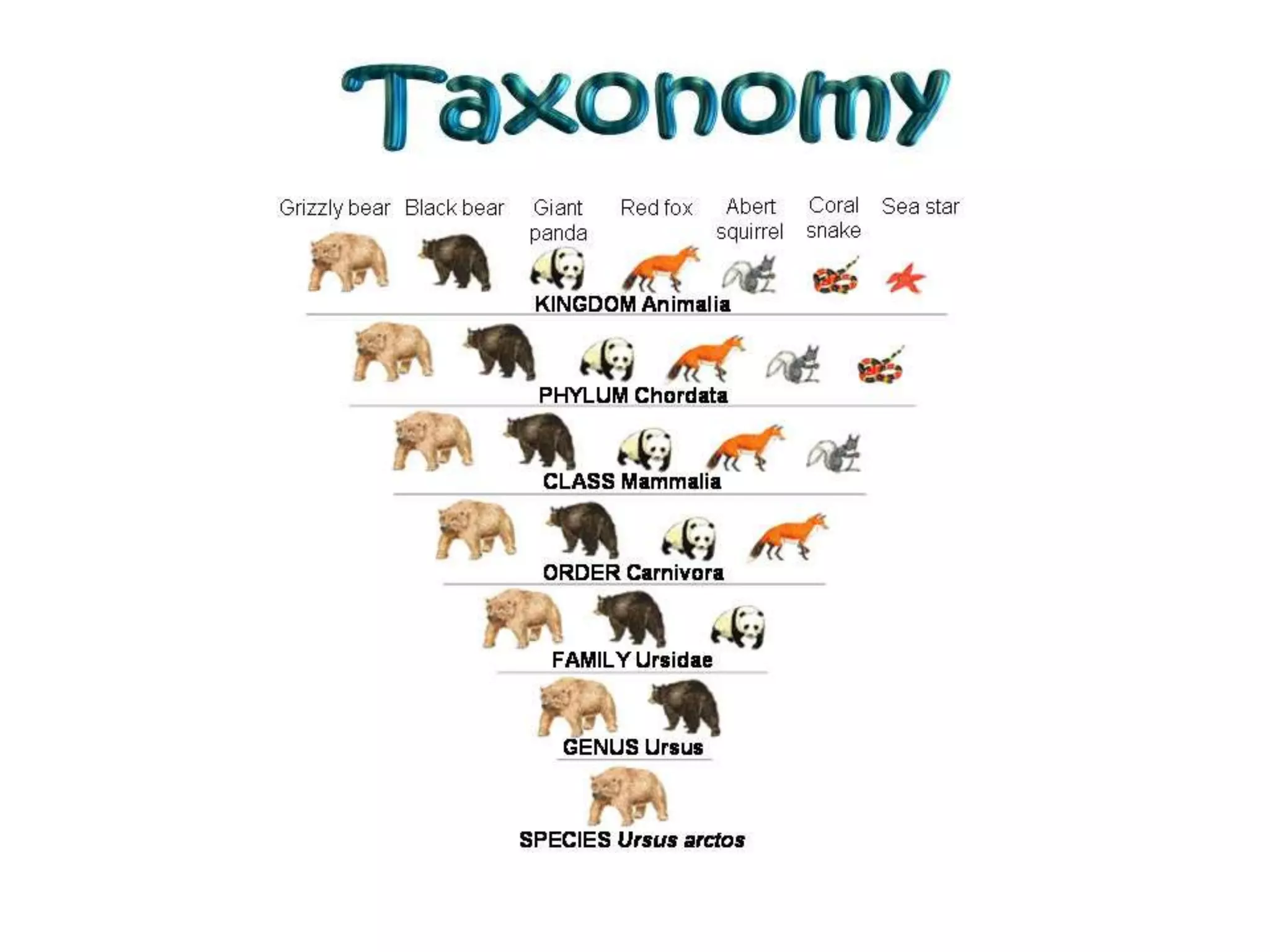 Taxonomies and Metadata | PPT