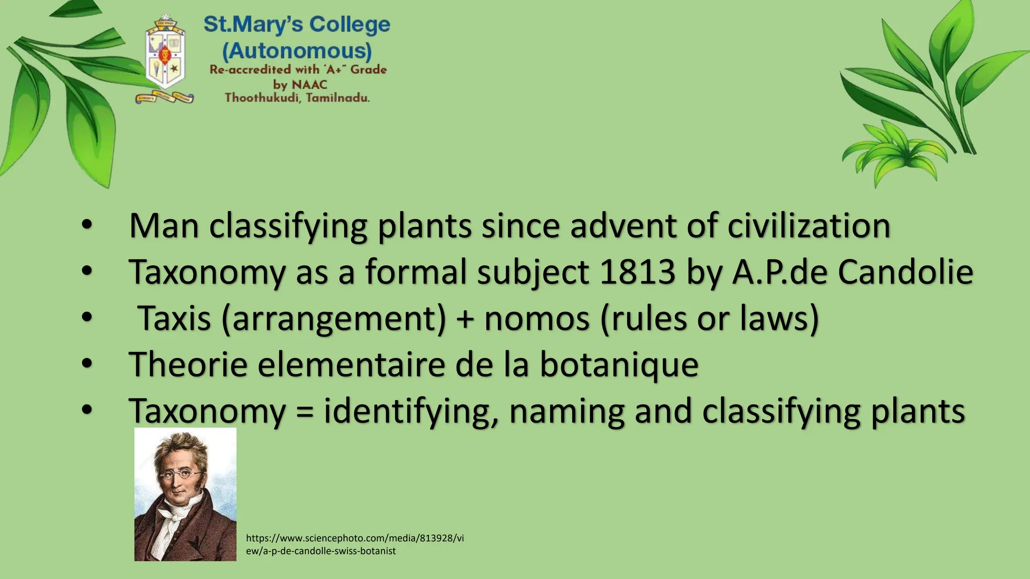 Taxonomy and Systematics.pptx