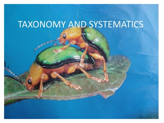 TAXONOMY and Systematics of diffrent insects in environment. pptx | PPTX