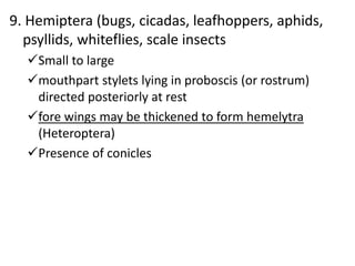 TAXONOMY and Systematics of diffrent insects in environment. pptx | PPTX