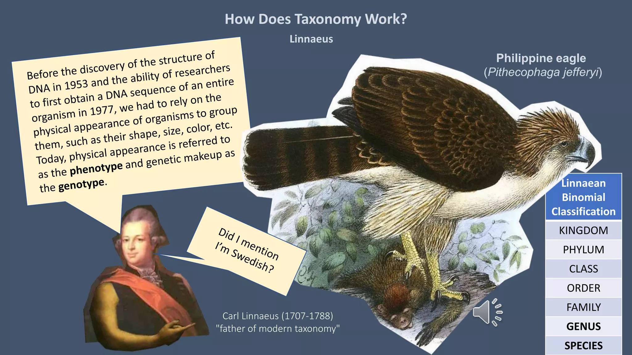 Taxonomy and the Conservation of Endangered Species | PPT