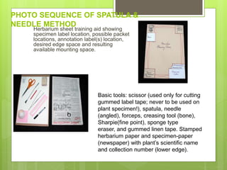 herbarium and its use--DEEPAKYADAV ALLD. UNIVERSITY | PPTX | Gardening ...
