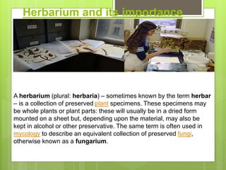 herbarium and its use--DEEPAKYADAV ALLD. UNIVERSITY | PPTX