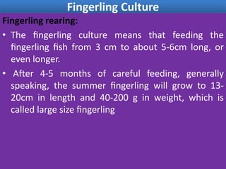 Taxonomy, Biology and Aquaculture of Large mouth seabass.pptx