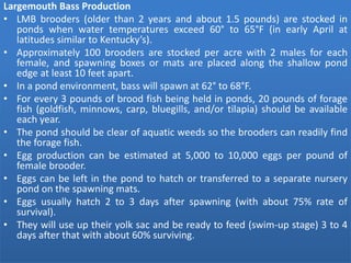 Taxonomy, Biology and Aquaculture of Large mouth seabass.pptx