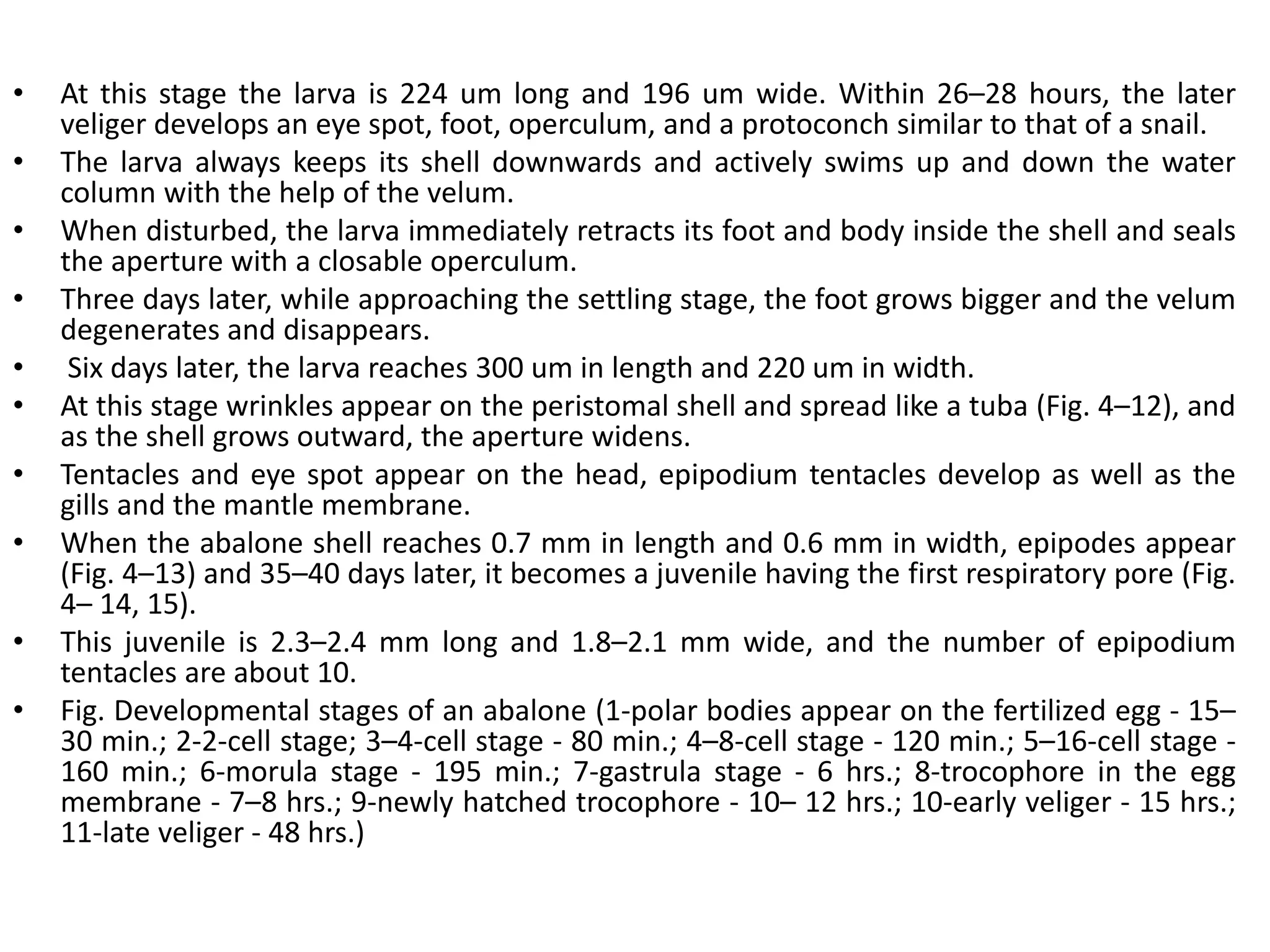 Taxonomy, biology and farming abalone.pptx