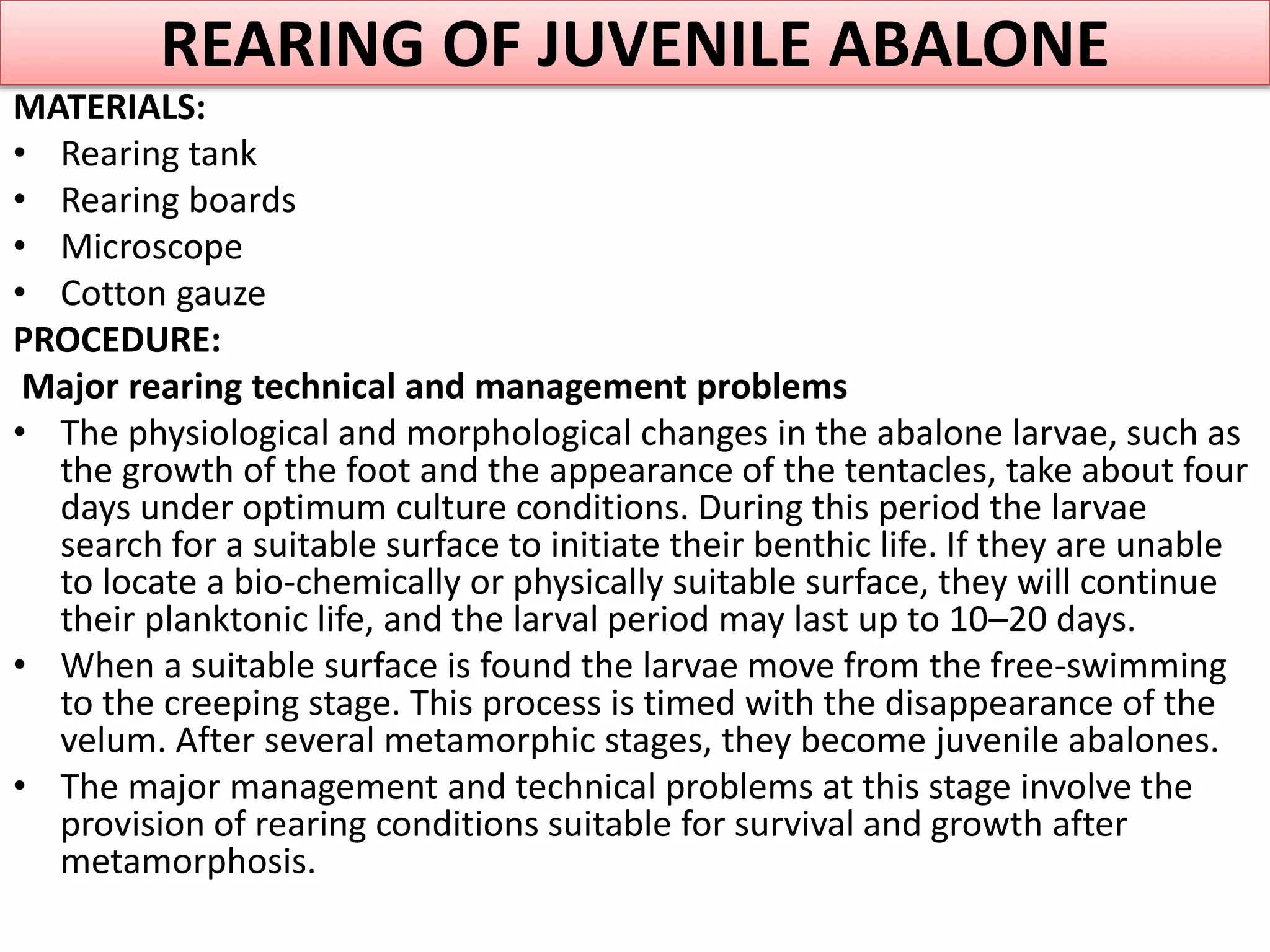 Taxonomy, biology and farming abalone.pptx