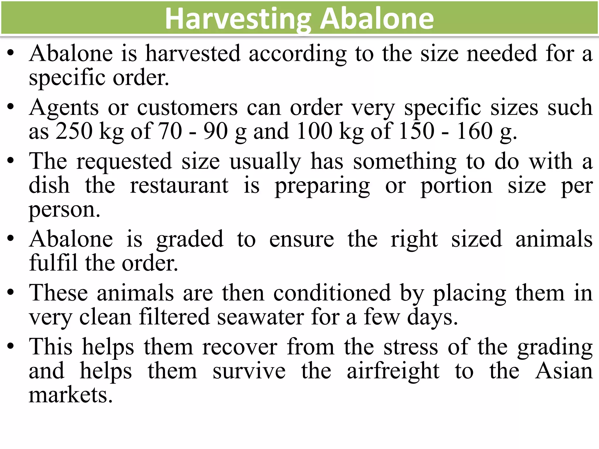 Taxonomy, biology and farming abalone.pptx