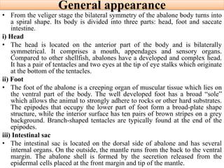 Taxonomy, biology and farming abalone.pptx