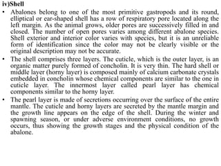 Taxonomy, biology and farming abalone.pptx
