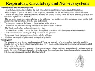 Taxonomy, biology and farming abalone.pptx