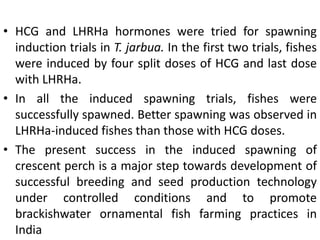 Taxonomy, biology seed production trials studies& potential for farming ...