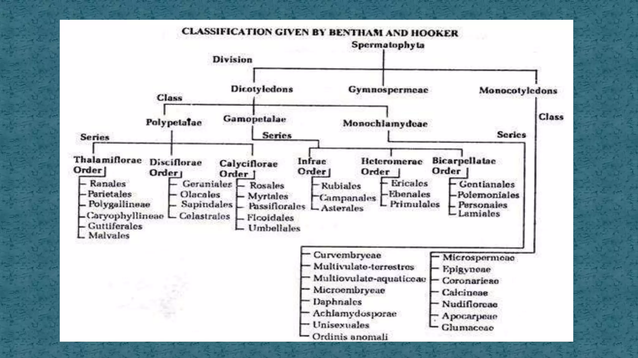 Taxonomy classification | PPTX