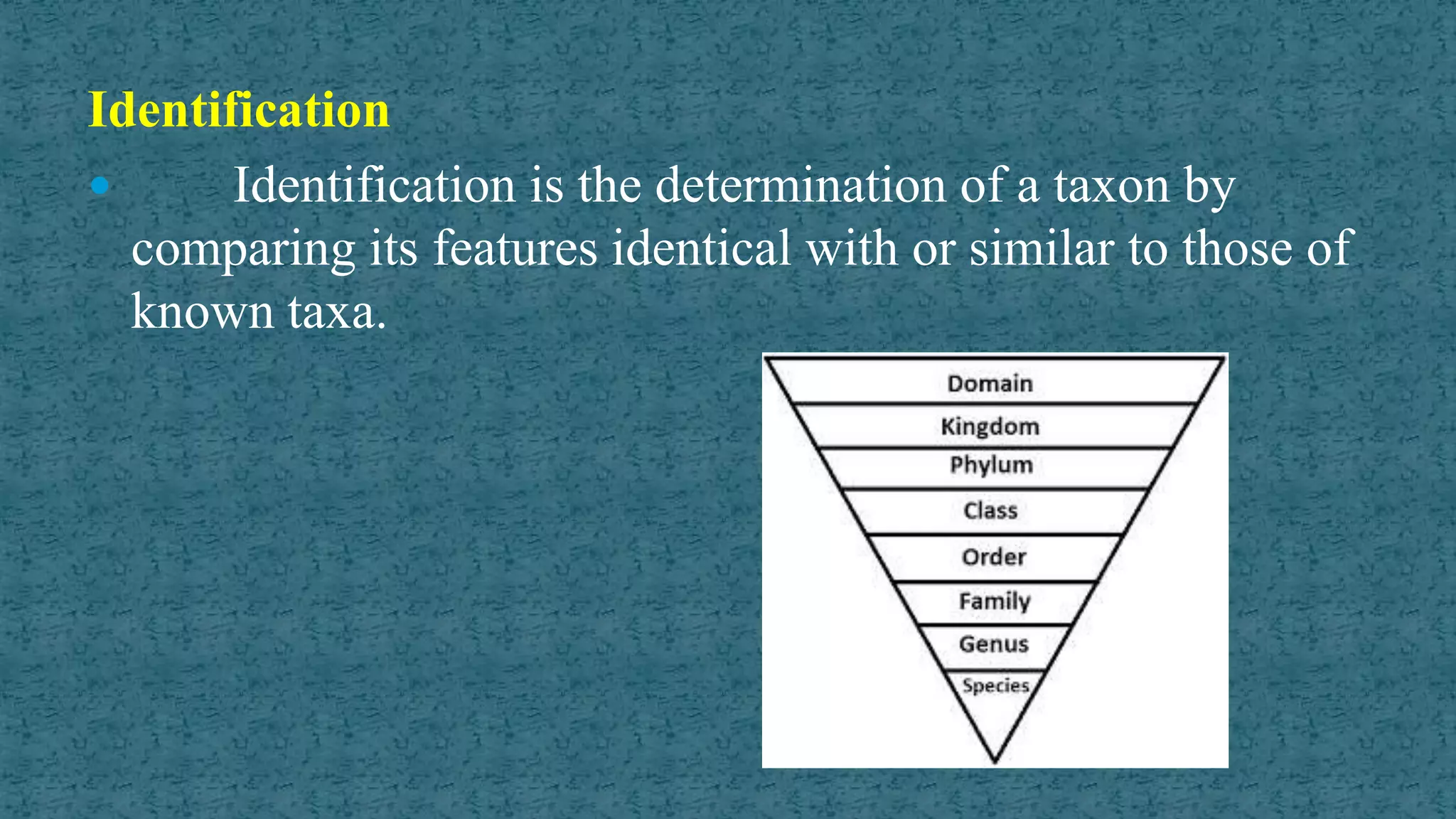 Taxonomy classification | PPTX
