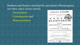 Taxonomy classification | PPTX