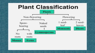Taxonomy classification | PPTX