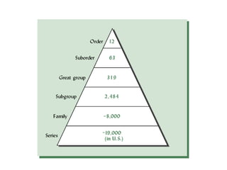 Taxonomy & Classification.pdf