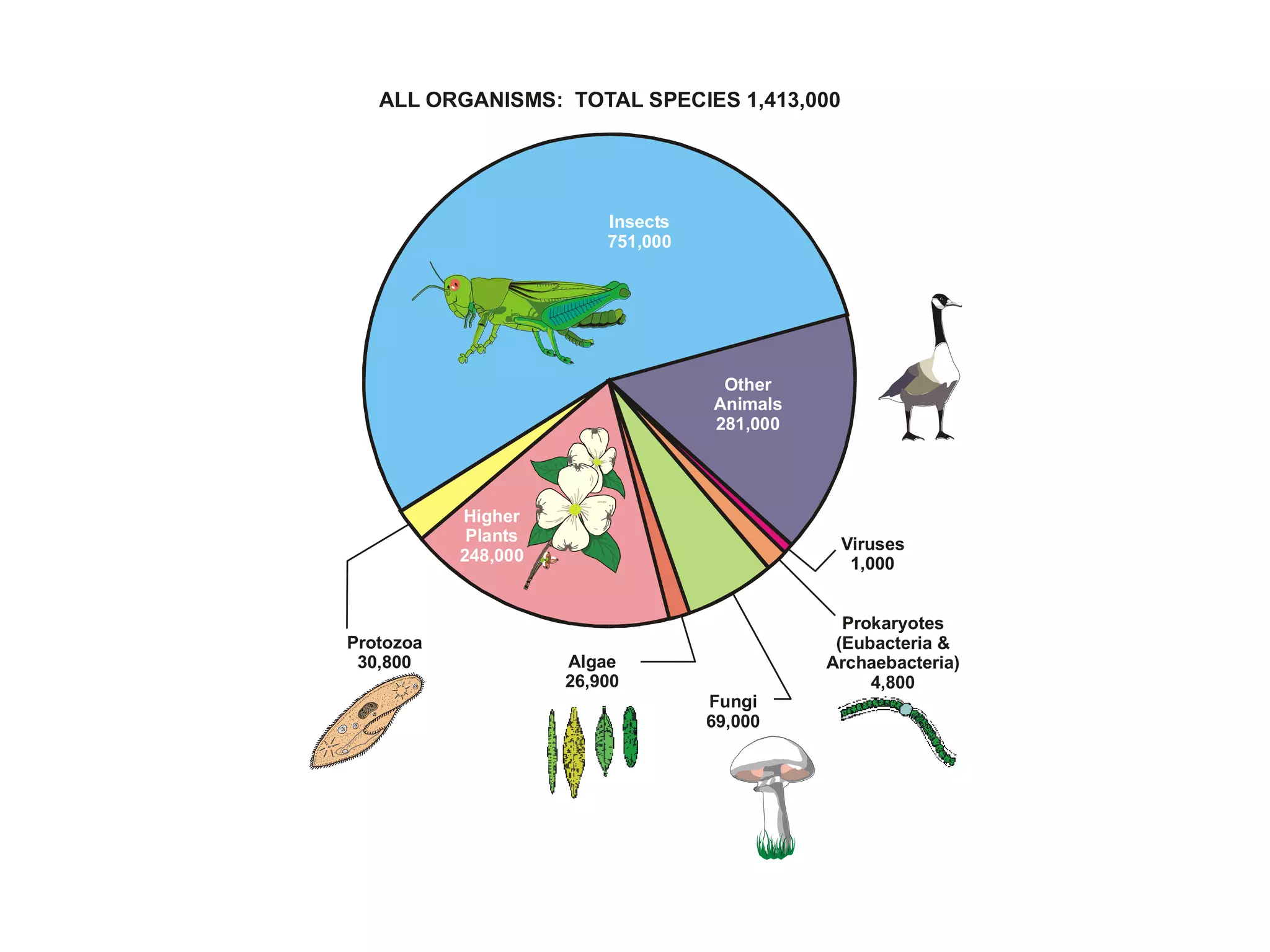 Taxonomy_Classification_17_.ppt