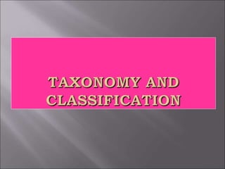 Taxonomy_Classification_17_.ppt