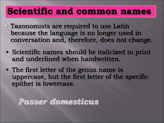 Taxonomy_Classification_17_.ppt