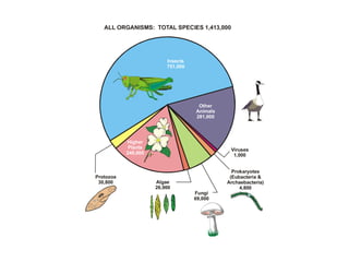 Taxonomy_Classification_17_.ppt