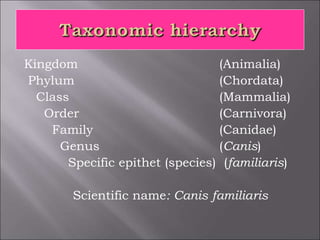 Taxonomy_Classification_17_.ppt