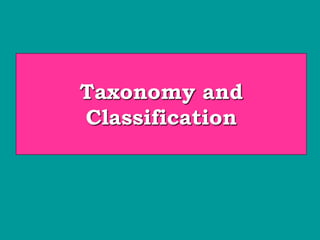 Taxonomy of Angiosperm for M.Sc. Students | PPT
