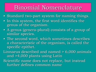 Taxonomy of Angiosperm for M.Sc. Students | PPT