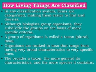 WHAT IS Taxonomy_Classification_17_.ppt