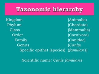 WHAT IS Taxonomy_Classification_17_.ppt | Operating Systems | Computer Software and Applications