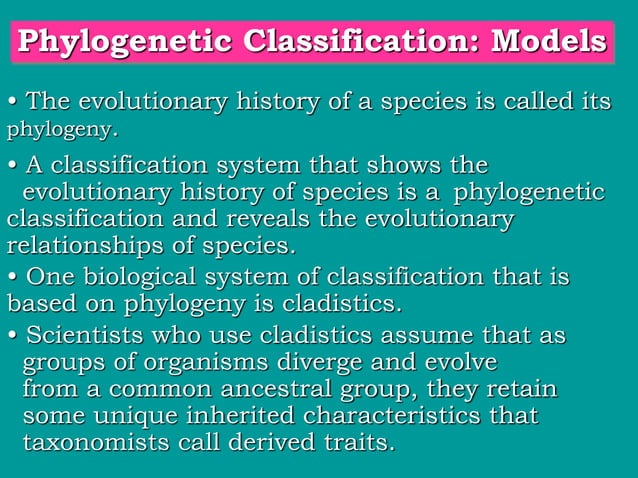 WHAT IS Taxonomy_Classification_17_.ppt | Operating Systems | Computer ...