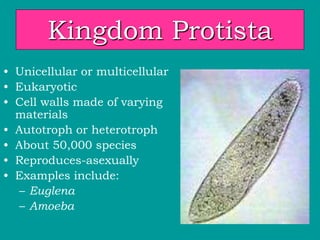WHAT IS Taxonomy_Classification_17_.ppt | Operating Systems | Computer Software and Applications