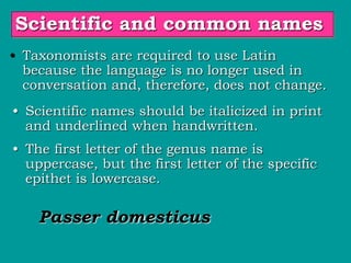 WHAT IS Taxonomy_Classification_17_.ppt | Operating Systems | Computer ...