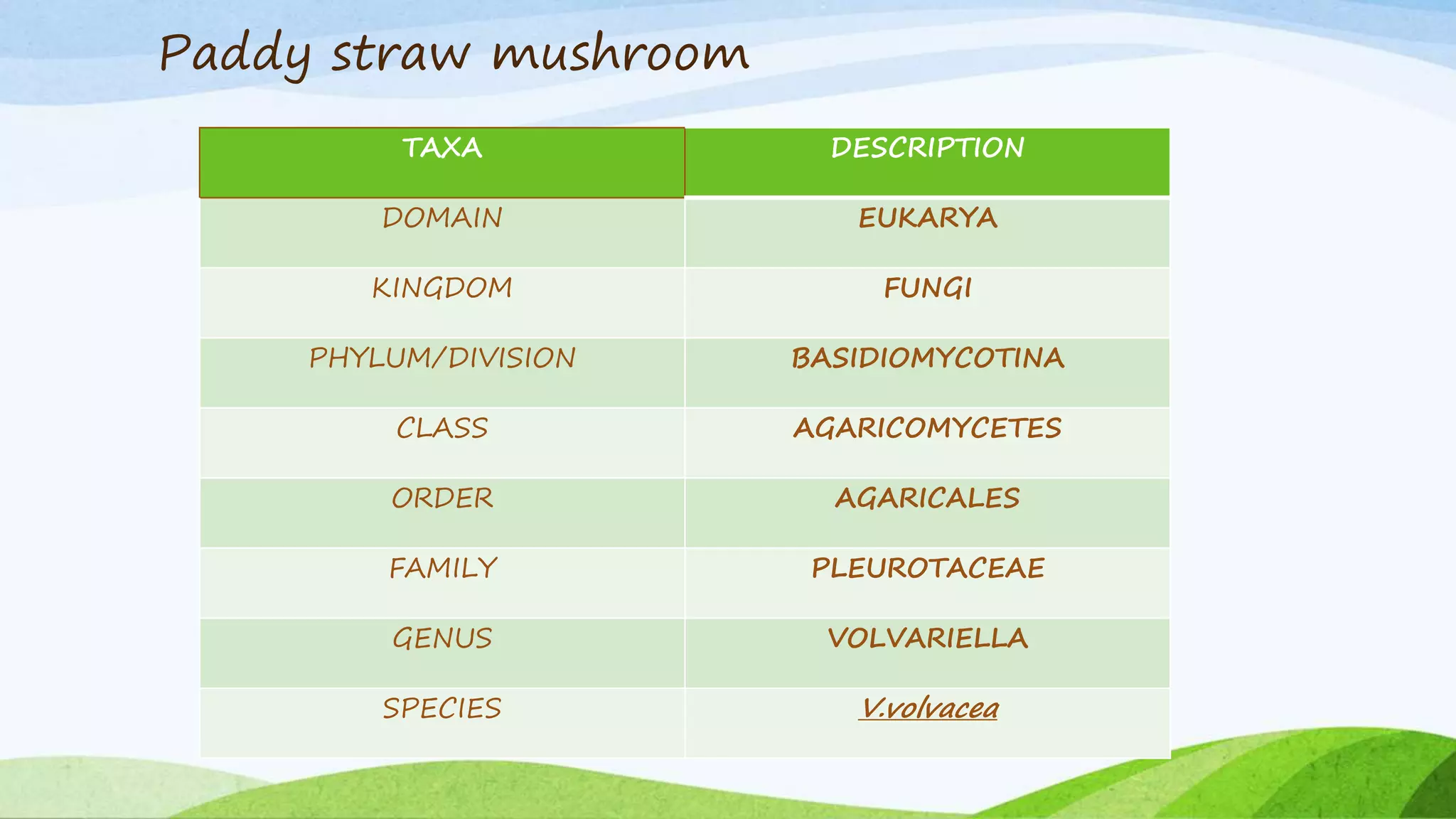 Taxonomy, classification and life cycle of cultivated Mushroom | PPTX