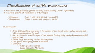Taxonomy, classification and life cycle of cultivated Mushroom | PPTX