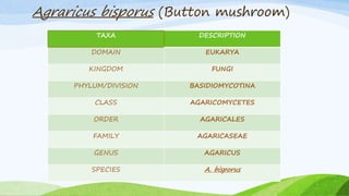 Taxonomy, classification and life cycle of cultivated Mushroom | PPTX